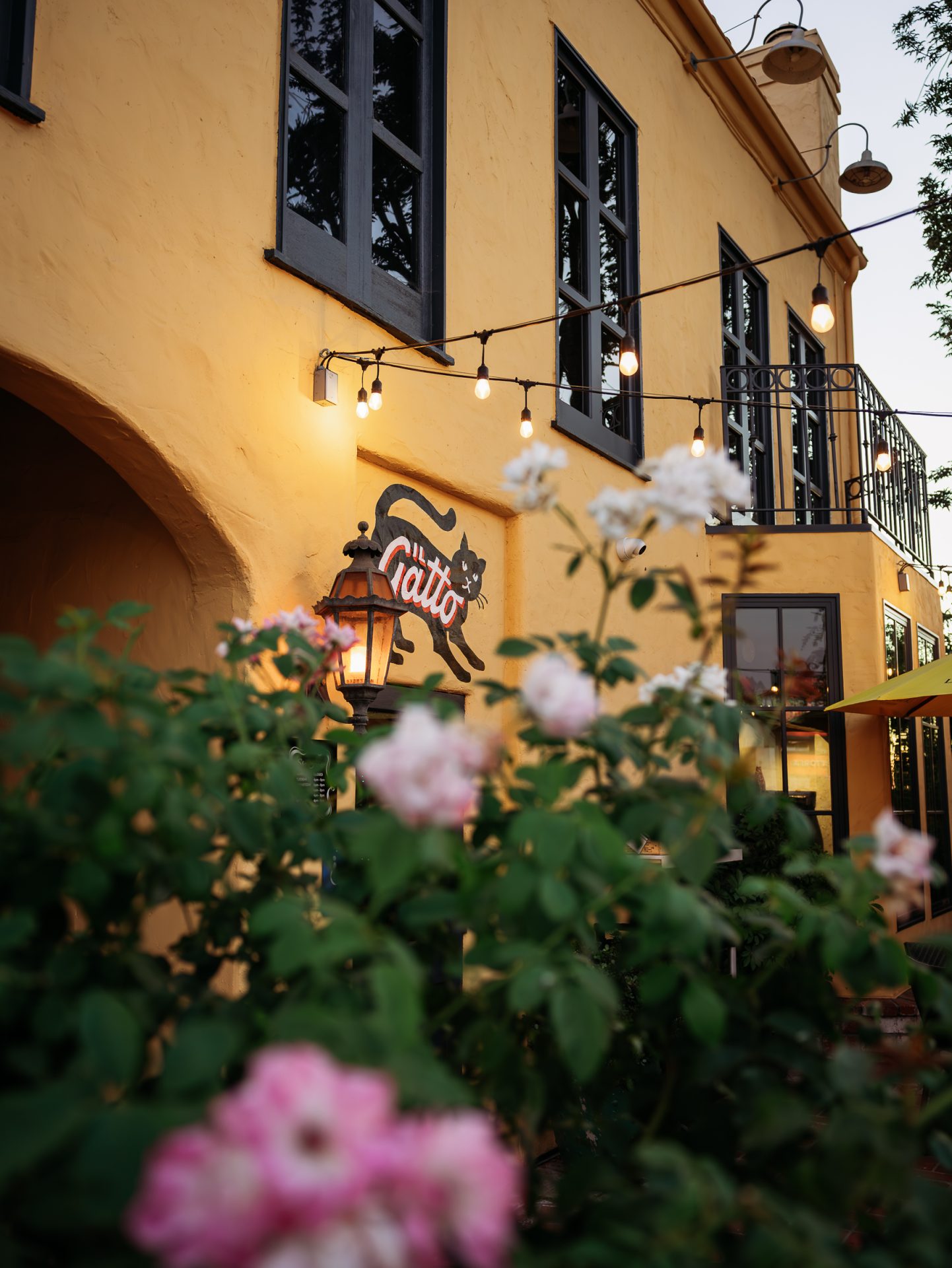 Il Gatto - Authentic Italian Cuisine - La Habra, CA